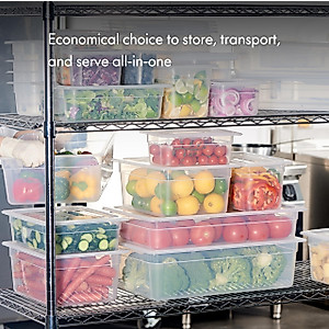 CURTA 4 Pack Translucent Food Pan with Lid, Half Size 4" Deep NSF Listed Commercial-Grade Polypropylene Plastic