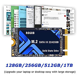 ROGOB 256GB M.2 SATA SSD 2242 NGFF B&M Key Internal Solid State Drive 6Gb/s for Desktop Laptop PC