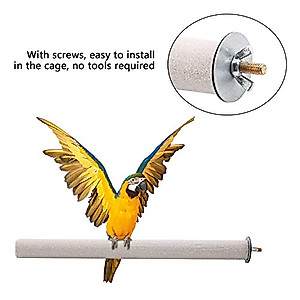 GLOGLOW Bird Perch, Wood White Bird Parrot Perch Standing Bar Pets Cage Accessory Grinding Claw Toys for Small Medium Large Birds Cockatiel Conure(2.5×30cm)