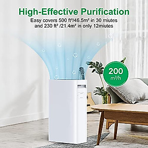 Air Purifiers for Home Large Room up to 1615 ft² with H13 True HEPA Filter, WiFi Voice Control, PM2.5 Monitor, Air Purify Filter Cleaner for Pets Smoke Dust (AF1)