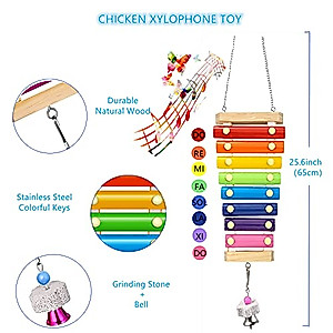 Longer Chain Chicken Toys for Coop Accessories 7PCS, Chicken Swing Ladder Perch roosts, Chicken Xylophone Mirror with Bells Vegetable Fruits Hanging Chicken Feeder for hens Bird Parrot