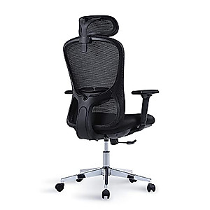 KARXAS Ergonomic Office Chair High Back Desk Chair with Adjustable Lumbar Support, Headrest & Armrest, Swivel Computer Task Chair (Black)
