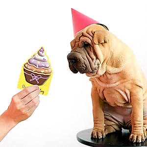 ceiba tree Birthday Cards 18 Pack Assortment Cupcake Shaped Greeting Card Notes DIY Happy Birthday Cards with Envelopes and Stickers