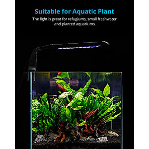 NICREW Clip on Aquarium Light, Fish Tank Light with White, Blue and Red LEDs, Planted Aquarium Light for Nano Tank, 2 Lighting Modes