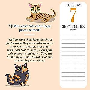 A Year of Cat Trivia Page-A-Day Calendar 2021