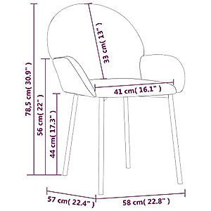 vidaXL Dining Chairs in Light Gray Velvet - Elegant, Modern Design, Comfortable Foam Filling, for Living Room, Dining Room, and More - Set of 2