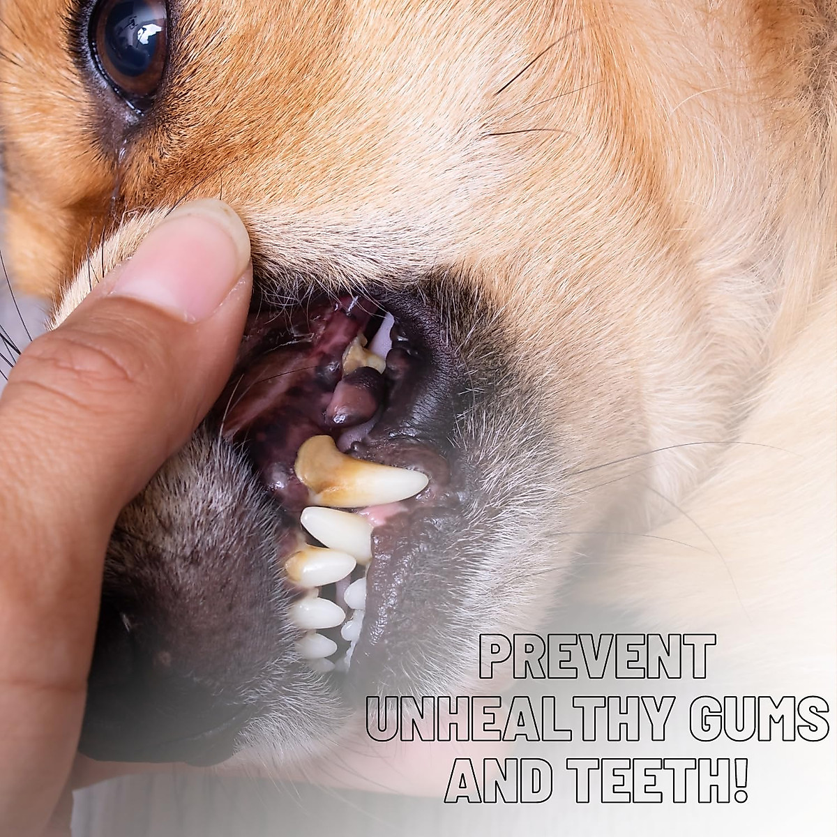 SYLVR SUPPORT- Colloidal Silver & Spearmint Teeth & Gum Spray for Dogs & Cats & Pets, Target Bad Breath, Clean Ingredient Pet Oral Care Solution (4 oz.)