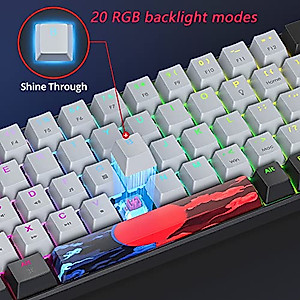 Mosptnspg Protable 60% Percent Gaming Keyboard Mechanical, Mini Compact RGB Backlit 68 Keys Wired Office Keyboard with red Switch for Mac/Win/PC/ps4/ps5/xbox(Dolch/red Switch 68)