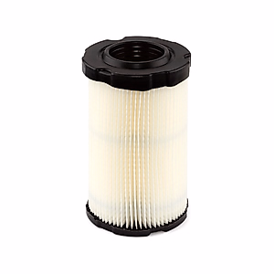 Briggs & Stratton 4243 Air Filter Contains 5 of 796031