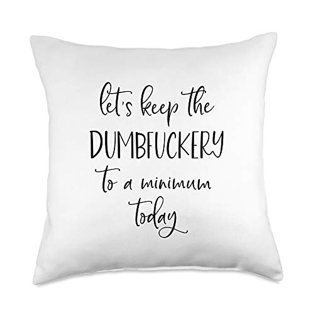 Swear Word Throw Pillow - ElizaDesigns Let's Keep The Dumbfuckery to A Minimum Today Funny Throw Pillow, 18x18, Multicolor