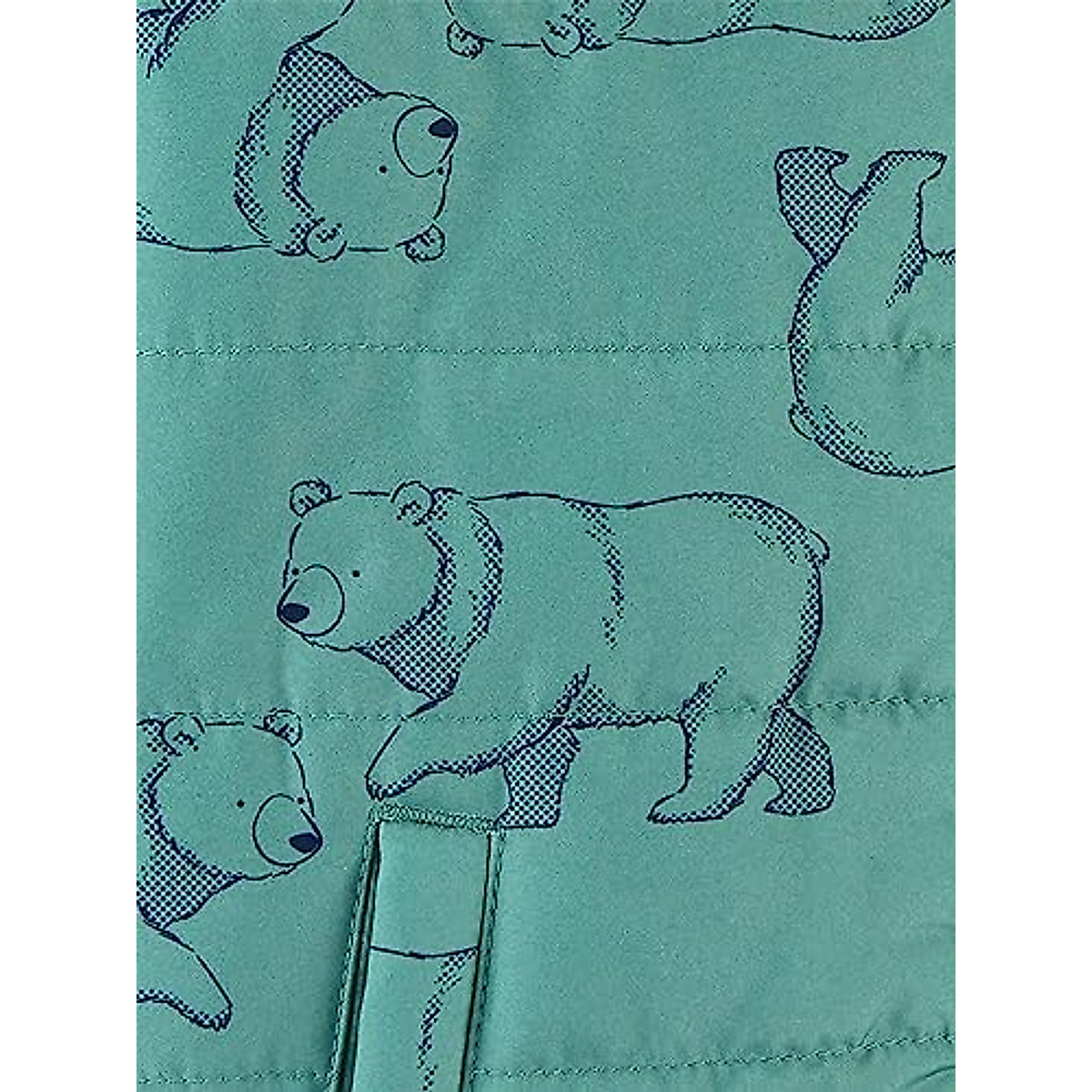 Simple Joys by Carter's Baby Boys' Puffer Jacket, Green Bear, 4T