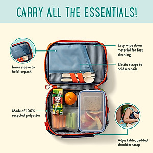 PlanetBox Rover Stainless Steel Bento Lunch Box with 5 Compartments for Adults and Kids, Sharks Carry Bag and Magnets