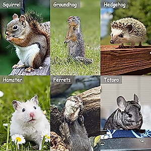 LAIRIES 2-Pack Guinea Pig Rat Hammock Guinea Pig Hamster Ferret Hanging Tunnel and Bed Hideout Set Guinea Pig Cage Bedding