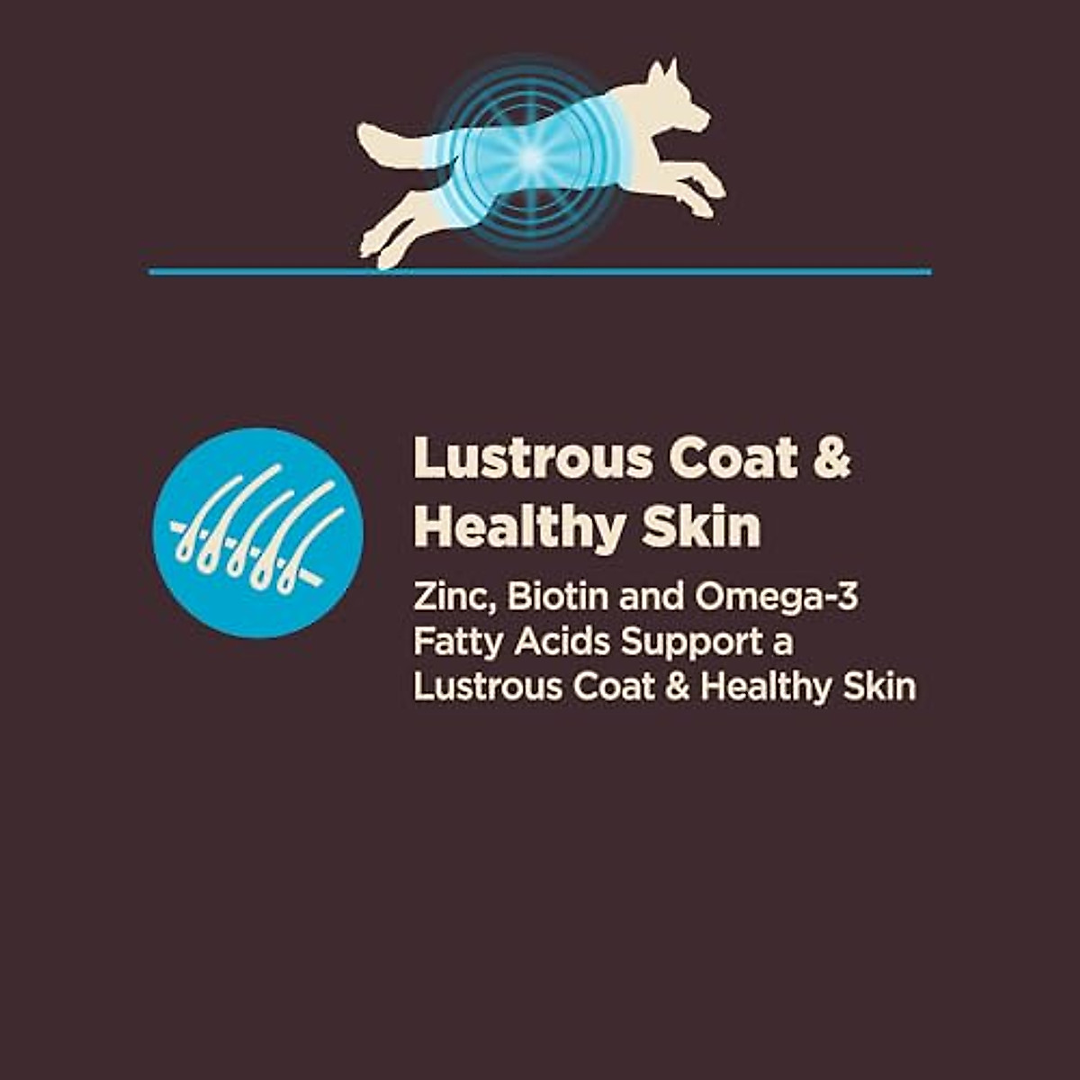 Wellness CORE Digestive Health Dry Dog Food with Wholesome Grains, Highly Digestible, for Dogs with Sensitive Stomachs, Made in USA with Real Protein (Whitefish & Brown Rice, 4-Pound Bag)