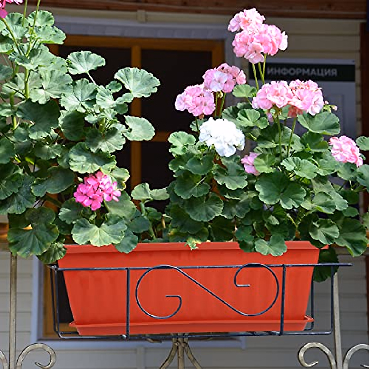 Elcoho 6 Pack Flower Window Box Planters 17 Inches Plastic Vegetable Plant Pot Rectangular Planters with Trays for Windowsill, Patio, Porch, Garden, Home Decor (Red)