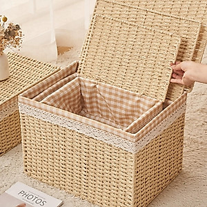 Rattanzenith Foldable Basket with Lid Large Storage Bin with Handle & Liner Paper Rope Woven Basket for organizing Clothes Toy Blanket Shelf Basket for Closet Organizers and Storage (Beige, Large)