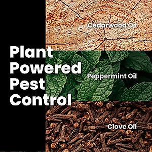 Natrapest Yard Spray - Ready to Use Flea, Tick & Mosquito Yard Spray with Natural Essential Oils - Plant Based Formula is Plant, Pet & Kid Safe - Insect Killer, Treatment & Repellent - 32 oz