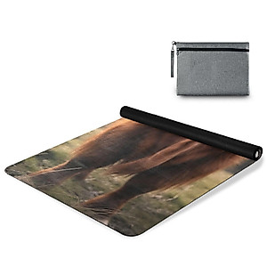 GOODOLD Highland Cow Yoga Mat, 71 x 26 Inch Non-slip Yoga Mats Folding Travel Exercise Mat Indoor Outdoor Gym Pilates with Storage Bag for Women Men