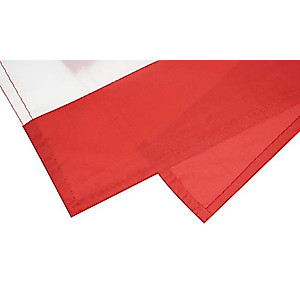 DANF American Flag 3x5 Feet USA Banner 100D Thicker Polyester US United State Flags with Brass Grommets 3 X 5 Ft