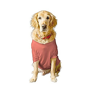 Ruse- Basic Summer Dog T-Shirt Solid Pets Crew Neck Half Sleeves Shirt/Apparel/Clothes/Tees Gift for Dogs(Salmon)/Small (Apso, Shih Tzu etc.)