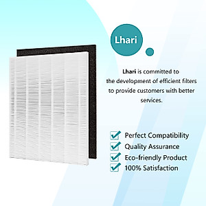 Lhari 2-Pack D480 True HEPA Replacement Filter, Compatible with Winix D480 Air Purifier, Compare to Winix D4 Filter, Part Number 1712-0100-00, 2-Pack