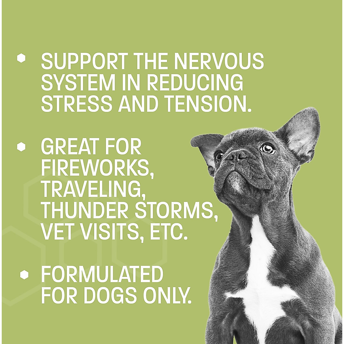 Pet Health Pros Melatonin Calming-Pro Dog Calming Chews for Dogs - Made with Chamomile, Ginger and Melatonin - Dog Calming Chews for Dogs Anxiety and Stress - Storms, Fireworks and Travel - 60 ct