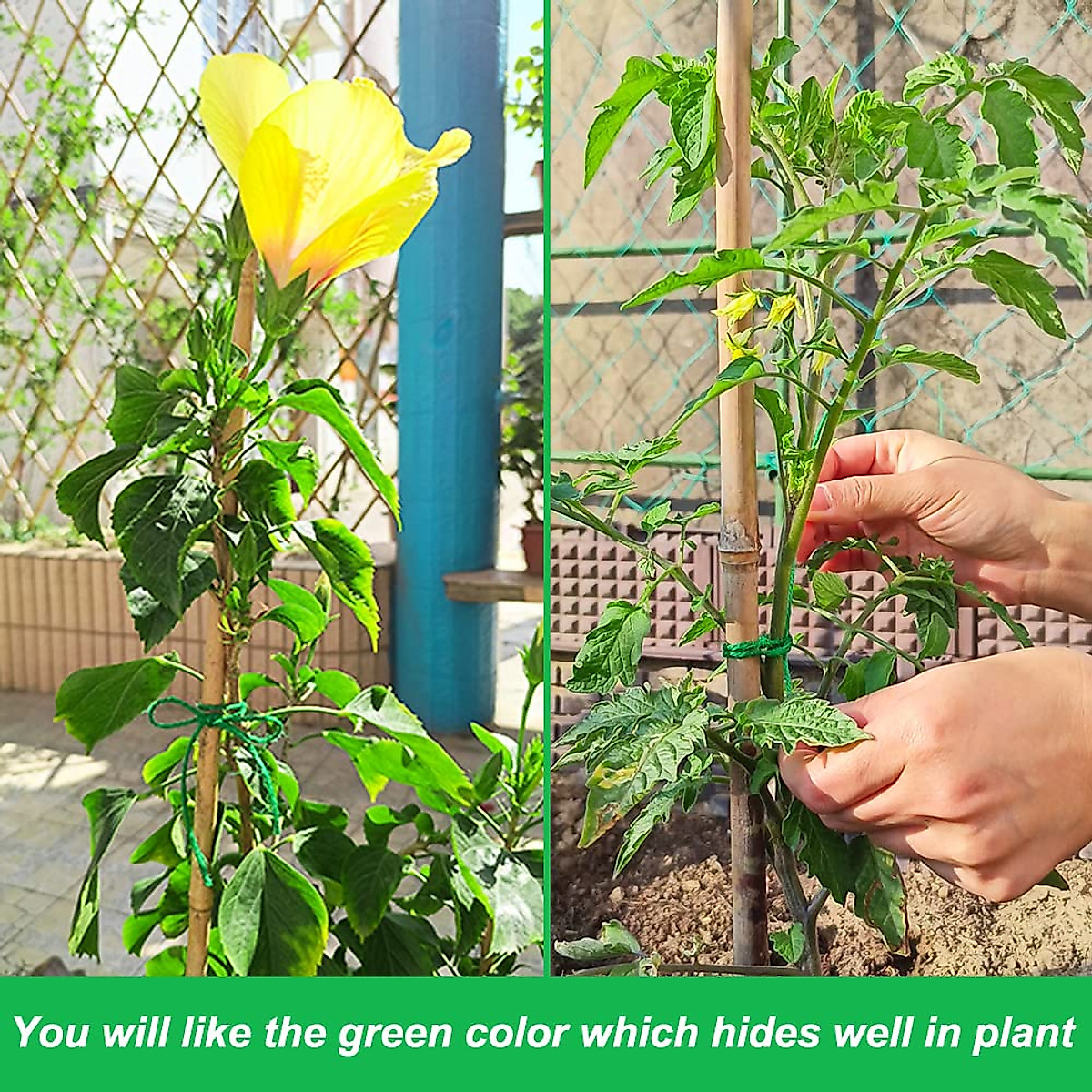 Vivifying Green Garden Twine, 656 Feet 2mm Natural Jute Twine String for Climbing Plants, Tomatoes, Floristry, Gift Wrapping, Crafts