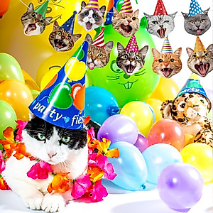 Cat Party Decorations Cat Happy Birthday Banner Cat Face Birthday Garland Funny Cat Banner for Cat-Themed Party Decor Baby Shower Favor Bunting Supplies