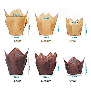 GOLDEN APPLE, 200 Pcs Tulip Cupcake Liner Baking Cup Muffin Tins Cups for Weddings, Birthdays, Baby Showers (Small, Natural)