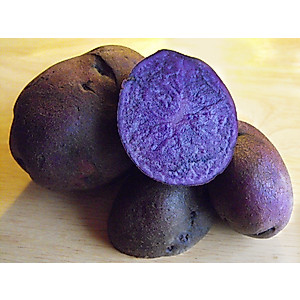 Color-Mix-Seed-Potato-Mix-Speciality-Potato-Blue-Red-Yellow-White-Excellent (5 LBS)