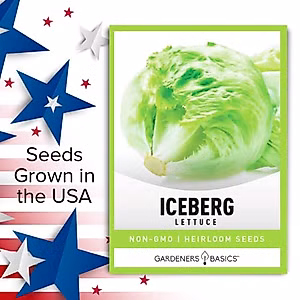 Iceberg Lettuce Seeds for Planting - (Head) Heirloom, Non-GMO Vegetable Variety- 2 Grams Seeds Great for Spring, Summer, Fall, Winter Garden and Hydroponics by Gardeners Basics