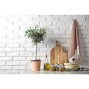 GOLD CASE Helen Original Turkish Hand Towels - Set of 4-20x40 100% Cotton Decorative Bathroom and Kitchen Towel for Hand, Face, Hair, Head, Farmhouse, Yoga, Gym. Tea Towel & Dishcloth, Aqua