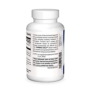 Planetary Herbals Turmeric Gold 500 Mg, 120 Count