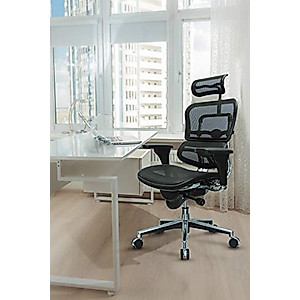 Eurotech Seating Ergohuman High Back Mesh Managers Chair, Black