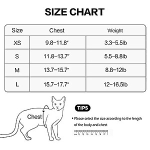 FDOYLCLC Cat Harness and Leash Set for Walking Escape Proof, Step-in Easy Control Outdoor Jacket, Adjustable Reflective Breathable Soft Air Mesh Vest for Small, Medium, Large Kitten (Turquoise, L)