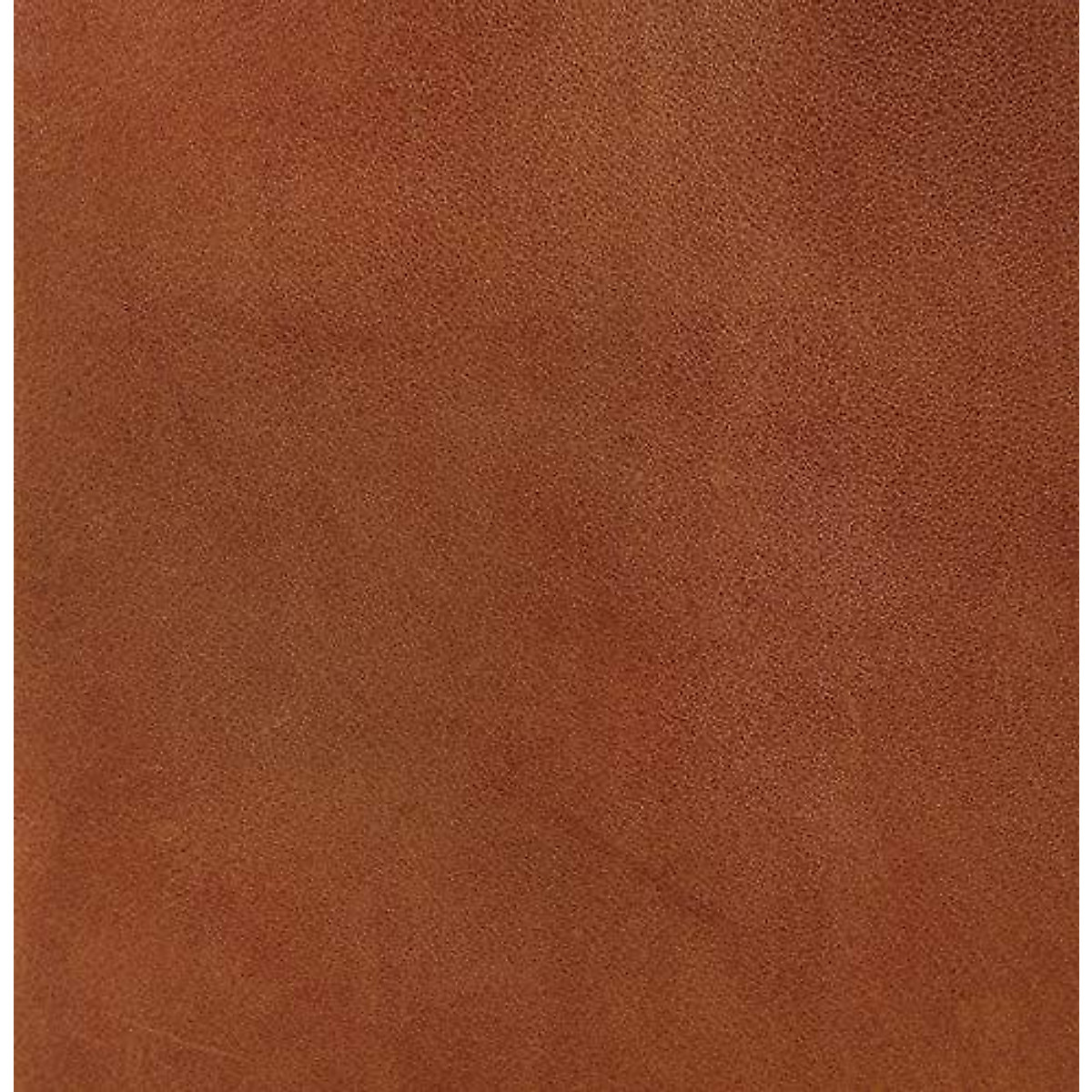 Acme Furniture Dudley Executive Office Chair, Rust Top Grain Leather