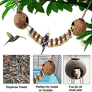Hamiledyi Coconut Bird Nest Hut with Ladder Hanging Birds Hide House Toy for Cage Natural Coco Shell Hideaway for Parakeet Lovebirds Finch Syrian Hamster Gecko Squirrel Climbing
