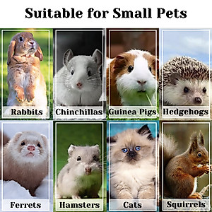 Hamiledyi Rabbit Water Bottle 17oz Bunny Hanging Automatic Water Dispenser Chinchillas Feeder Water Bowl Small Animal No Drip Plastic Water Dispenser for Guinea Pigs Chinchillas Hedgehogs Ferrets 2Pcs