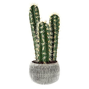 Pure Garden Potted Cactus Fake Plant - 22-inch Artificial Hedge Cactus Succulent in Clay Fiber Pot with Realistic Spikes for Home or Office Decor