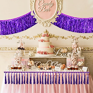 C＆B Purple Fringe Banner for Party Decorations,6.07 Ft Hanging Fringe Tinsel Garland, Metallic Foil Purple Streamer Photo Backdrop for The 70s & 80s Last Disco Bachelorette Party, Birthday Party Decor