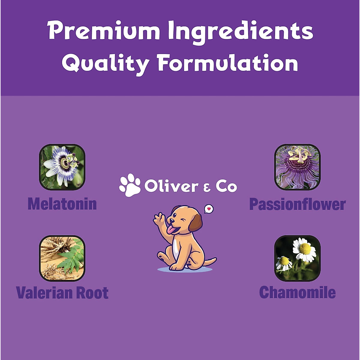 Dog Sleep Aid | Sleep Aid for Dogs | Promotes Healthy, Restful Sleep in Dogs | Melatonin for Dogs | | Dog Calming | Calming for Dogs | Dog Melatonin | Dog Anxiety Relief | 1 fl oz: Bacon Flavor