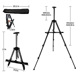 RRFTOK Artist Easel Stand, Adjustable Easel for Painting Canvases Height from 17 to 66 Inch,Carry Bag for Table-Top/Floor Drawing and Didplaying