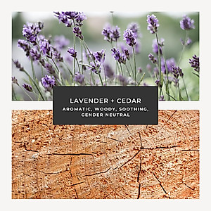 Lavender Cedar Jasmine Perfume Oil for Women | Rollerball (Roll on) Fragrance | Herb and Root 10ml