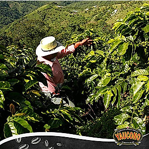 Yaucono Ground Medium Roast Arabica Coffee Single-Serve Pods, 72 Count, Compatible with Keurig K Cup Brewers