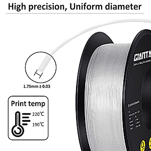 GIANTARM Transparent Clear PLA 3D Printer Filament 1kg(2.2lbs) Spool,1.75mm Dimensional Accuracy +/- 0.02mm, Vacuum Packaging, Fit for Most 3D Printer in Market