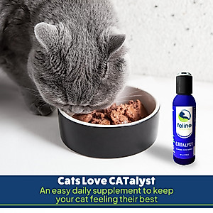 Feline Essential Catalyst Antioxidant Enzyme Formula for Cats - Cat Digestive Enzyme - Digestive Enzymes for Cats - Cat Digestive Support - Feline Catalyst Liquid Pancreatic Enzyme Supplements Cats