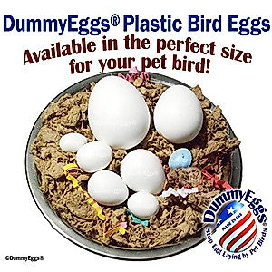 7 Dummy Eggs to Stop Egg Laying for Budgerigar Parakeet, Parrotlet, Diamond Dove. Non-Toxic Premium Realistic Plastic Solid Fake Bird Eggs 3/4 x 5/8 USA