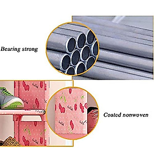 DINGZZ Shoe Storage Shelf Shoe Organizer, for 9 Pairs of Shoes in Closet Entryway Hallway (Color : D)