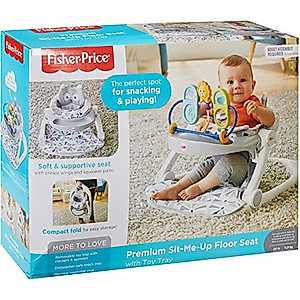 Fisher-Price Premium Sit Me Up Floor Seat with Toy Tray Owl