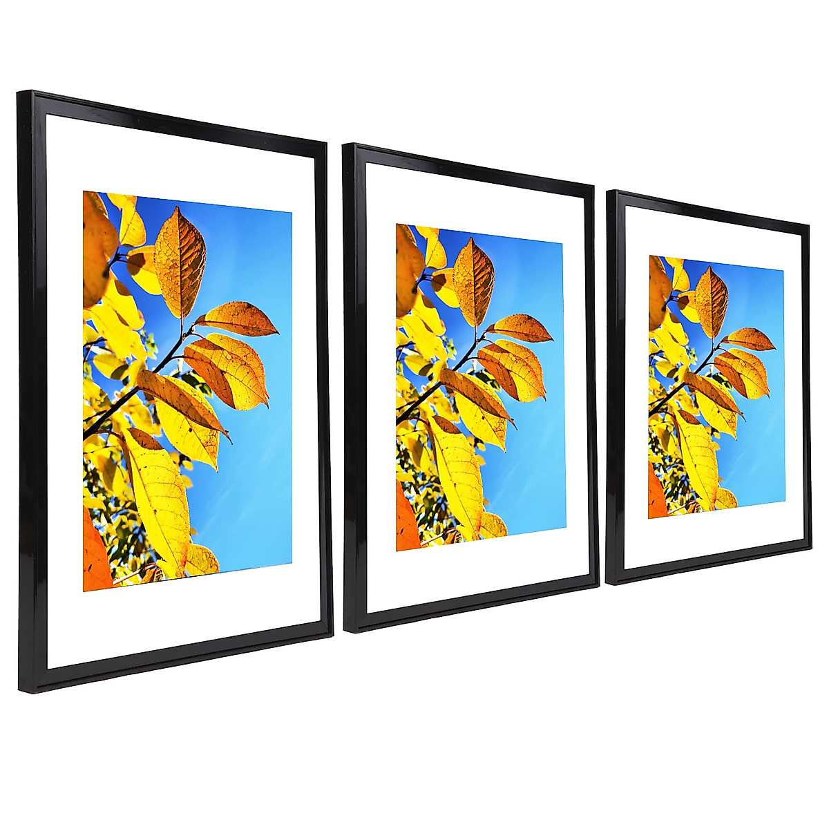 Aynoo 11x14 Picture Frame Black Set of 3 Pack 11x14 Picture Frames Display Pictures 6x8 11x14 Wall Mounting Thin Border Photo Frame for Wall,Black, 3Pack